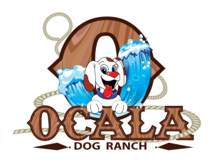 Ocala Dog Ranch - Home